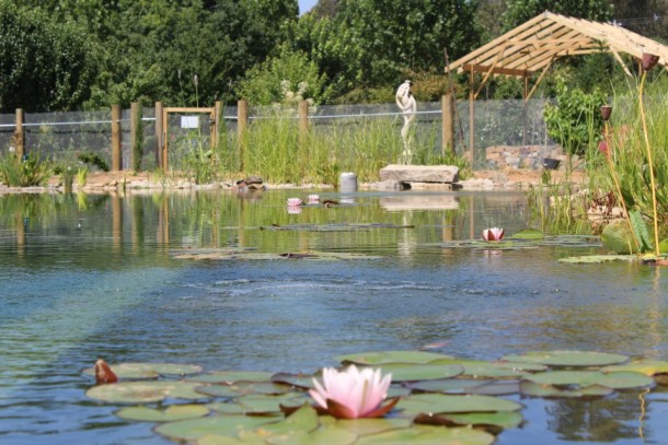 Natural Pool, Australia