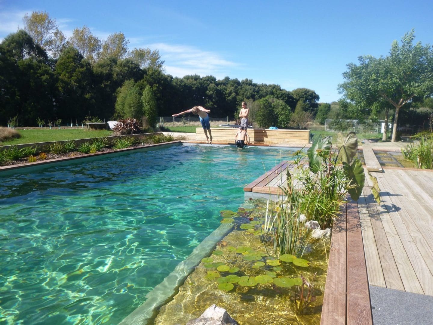 Swimmable pond & water features