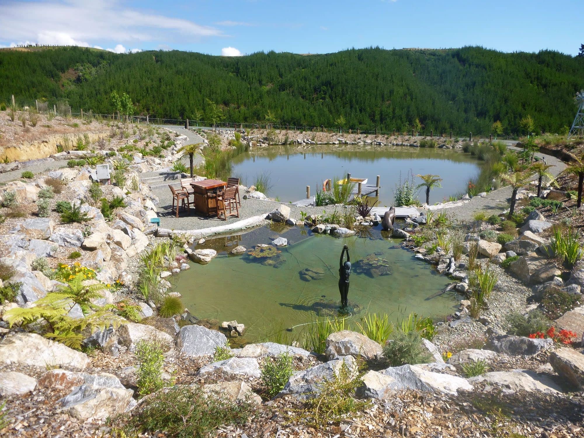 Swimmable pond & water features