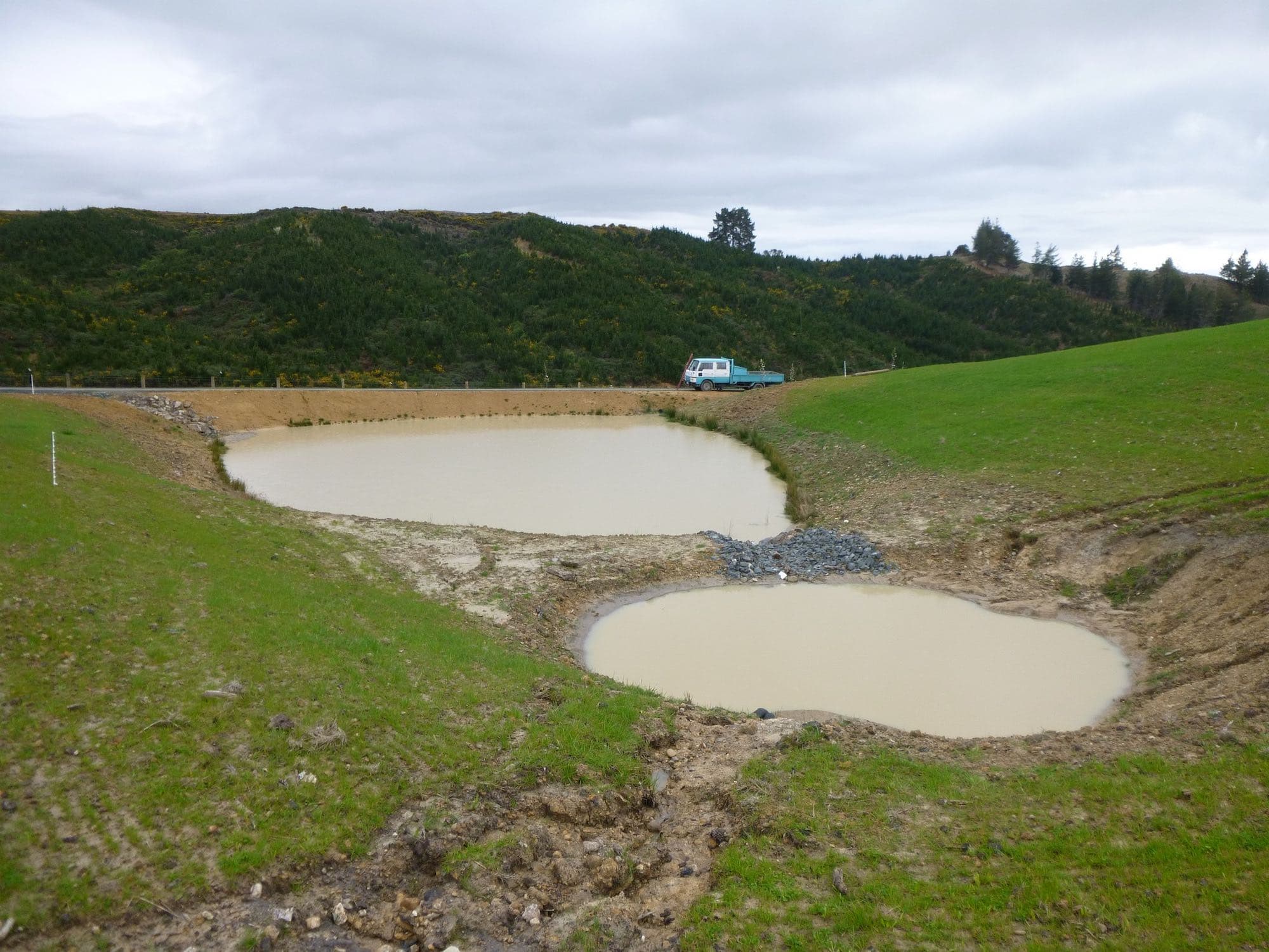 Swimmable pond & water features